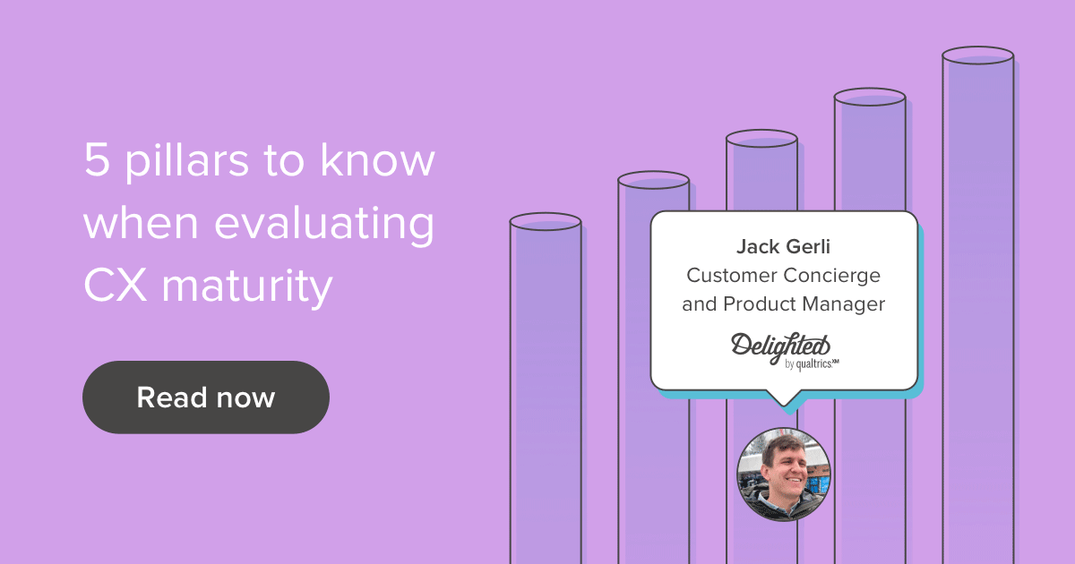 Customer Experience Maturity 5 Pillars You Should Know